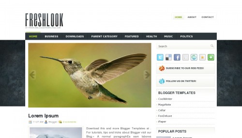 FreshLook Blogger template - BTemplates