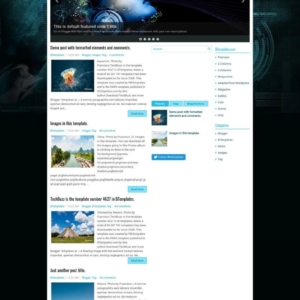 News Blogger Templates - BTemplates