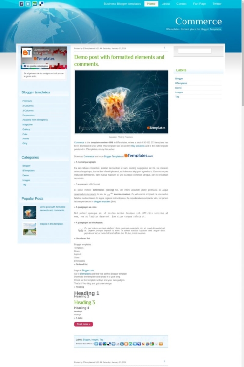Commerce Blogger template - BTemplates