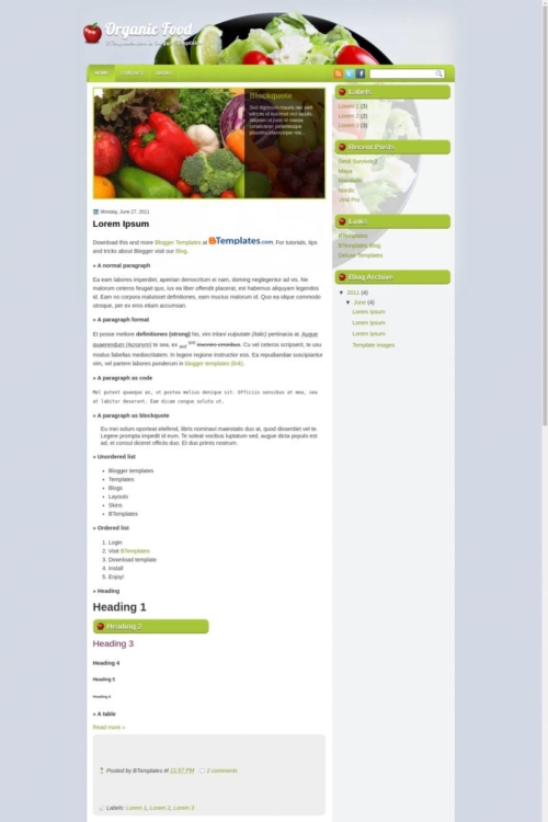 Organic Food Blogger template - BTemplates