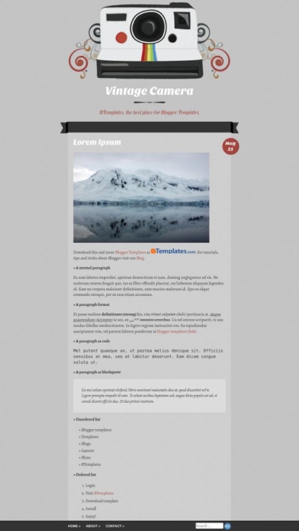Vintage Camera Blogger Template - BTemplates